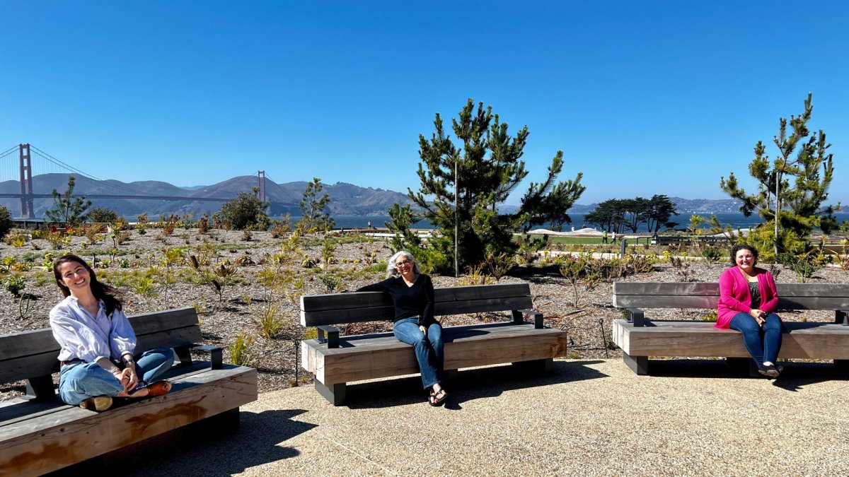 Learning Services | The Bay School of San Francisco